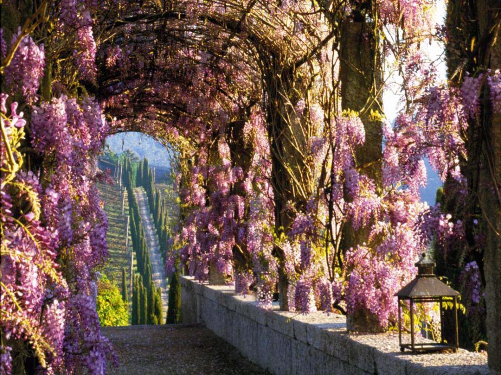 Caruncho Garden & Architecture