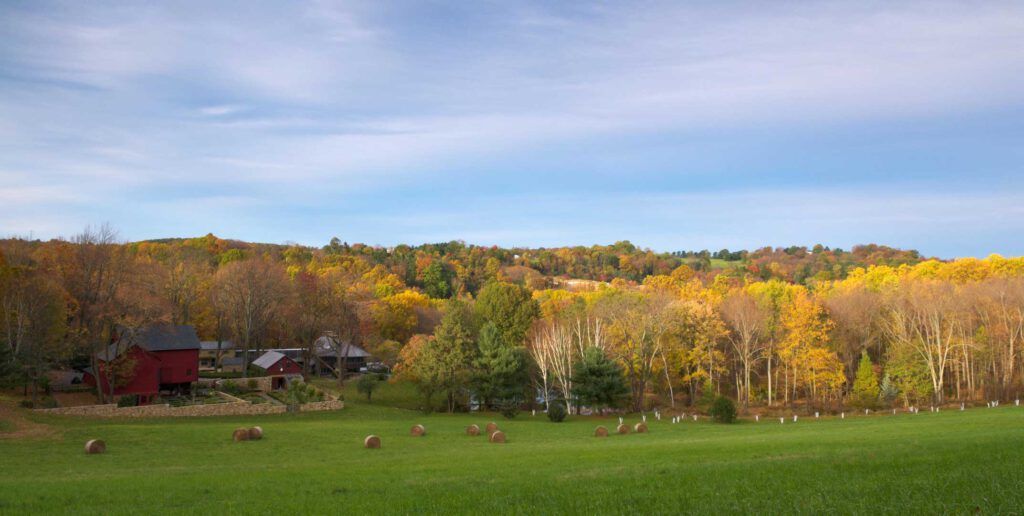 Caruncho Garden & Architecture