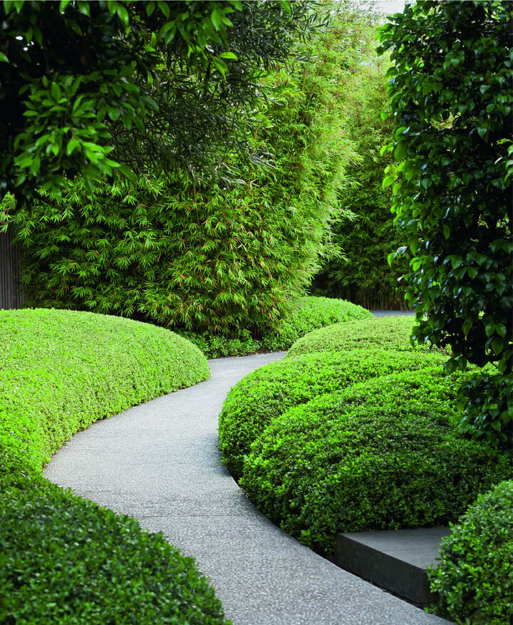 Caruncho Garden & Architecture