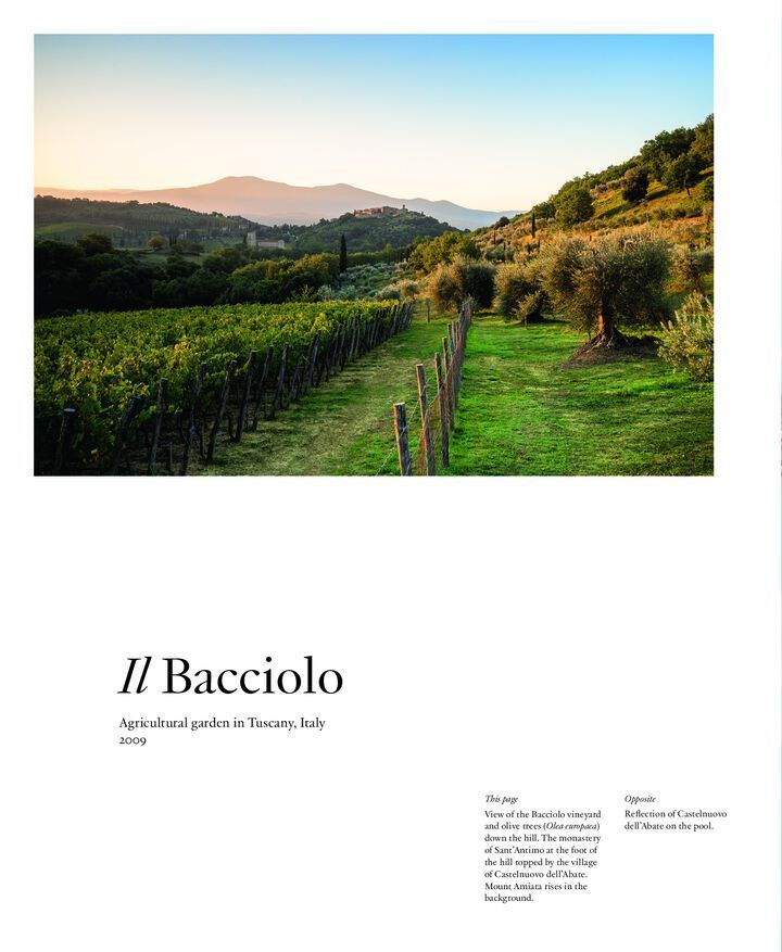 Caruncho Garden & Architecture