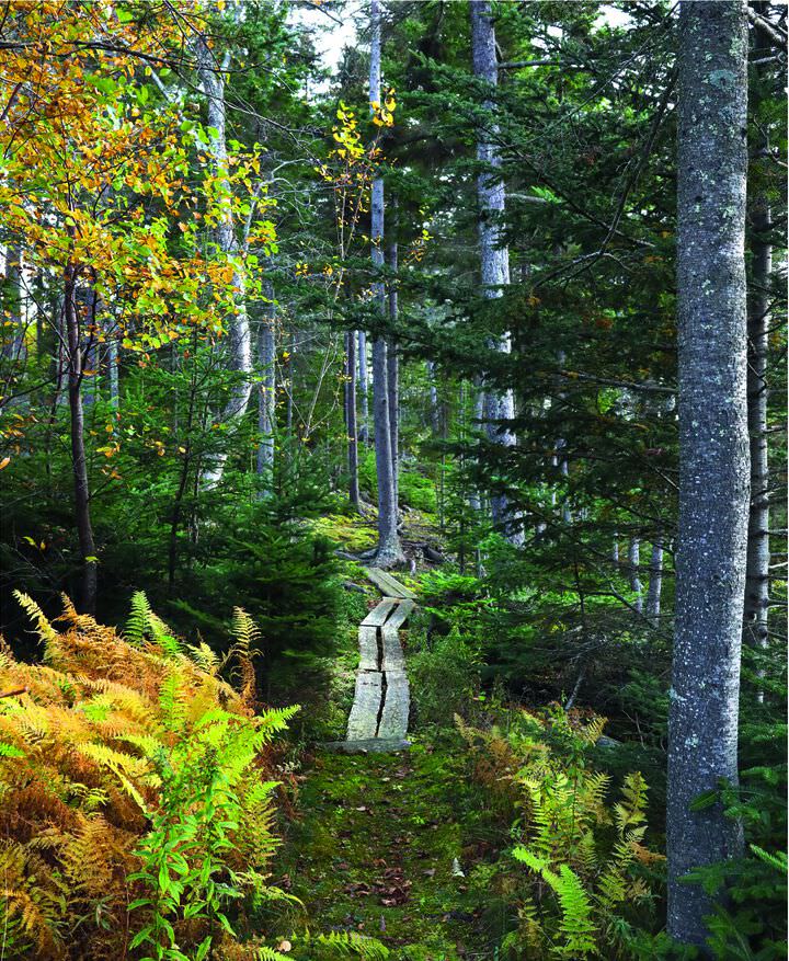 Caruncho Garden & Architecture