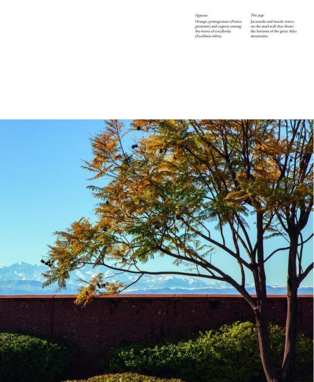 Caruncho Garden & Architecture