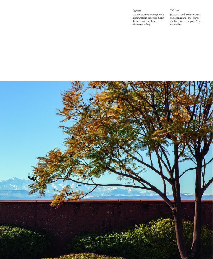 Caruncho Garden & Architecture